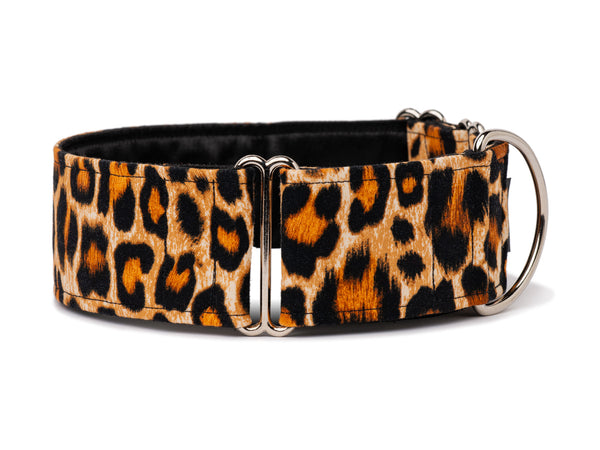 Pimp Daddy Dog Collar - Dogma London